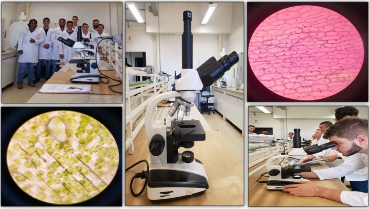 LBIO - Laboratório de Práticas Biológicas | ICIAG